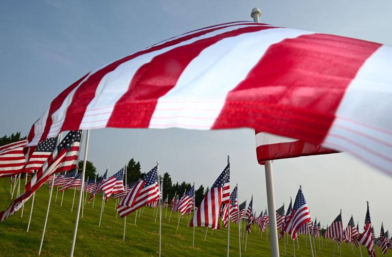 Rotarians place hundreds of flags around Talbot County | Local ...