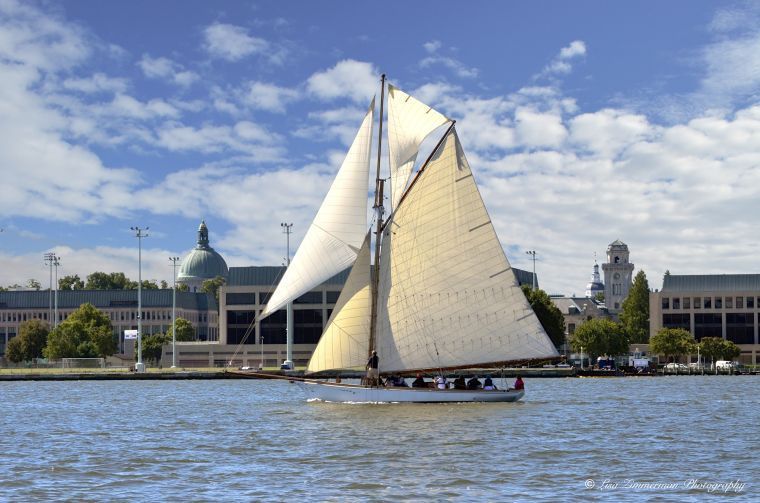 Annual Elf Classic Yacht Race comes to Chesapeake Bay | Life | stardem.com