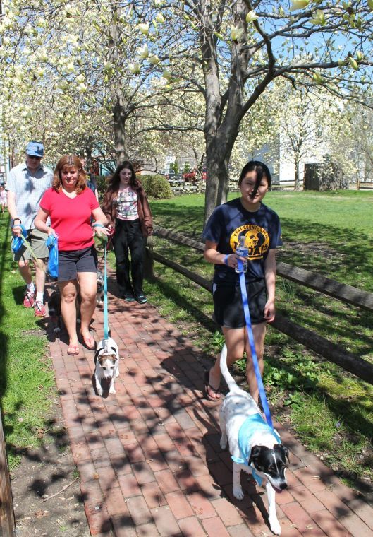 Mutt Strut 2015 | Featured | stardem.com