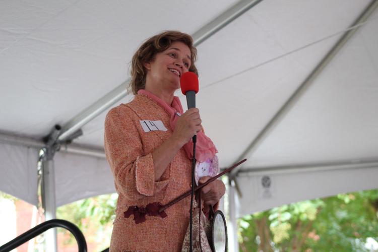 A magical time at HP Festival | Local | stardem.com