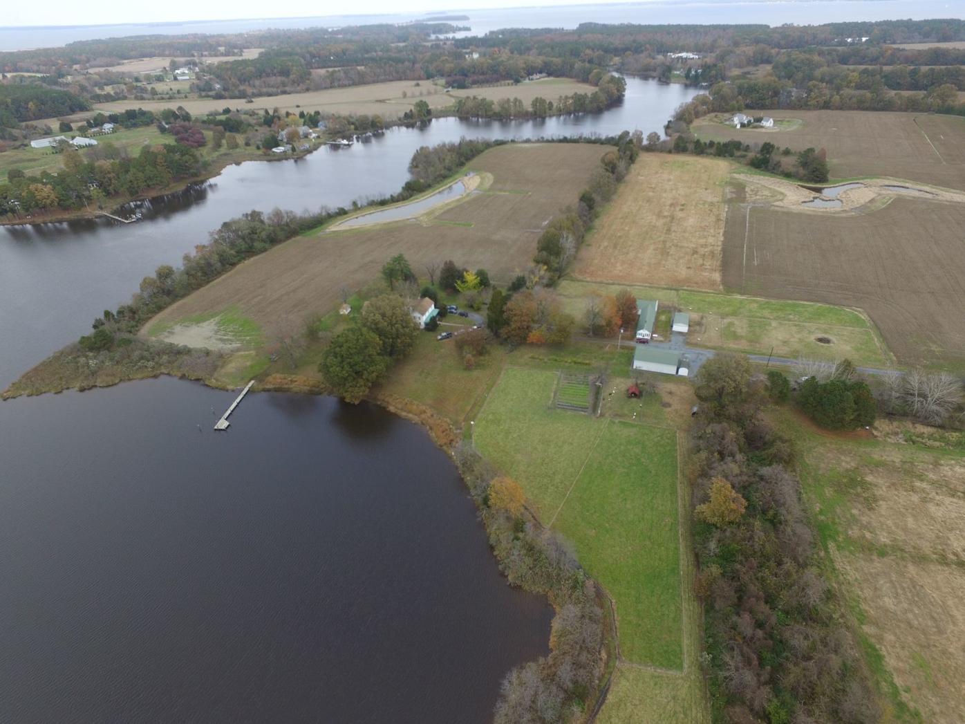 St. Michaels farm honored by governor | Business | stardem.com
