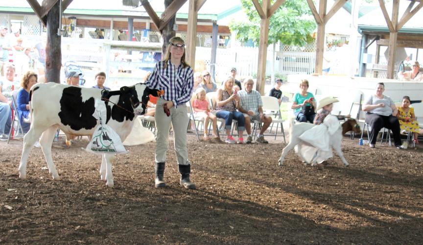Pretty Animal Contest winners announced | Local | stardem.com