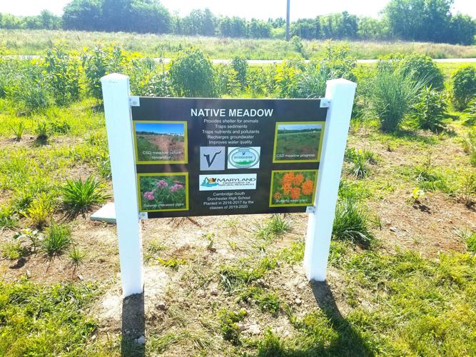 C-SD science students plant native meadow | Local | stardem.com