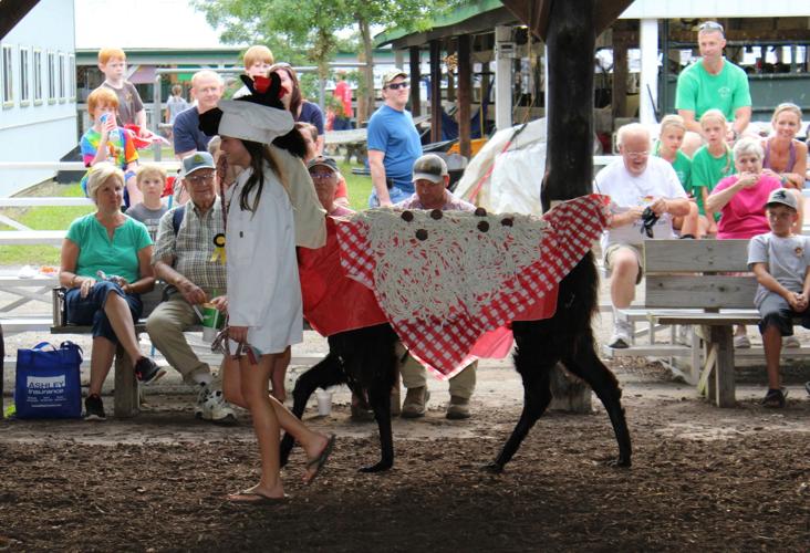 Pretty Animal Contest winners announced | Local | stardem.com