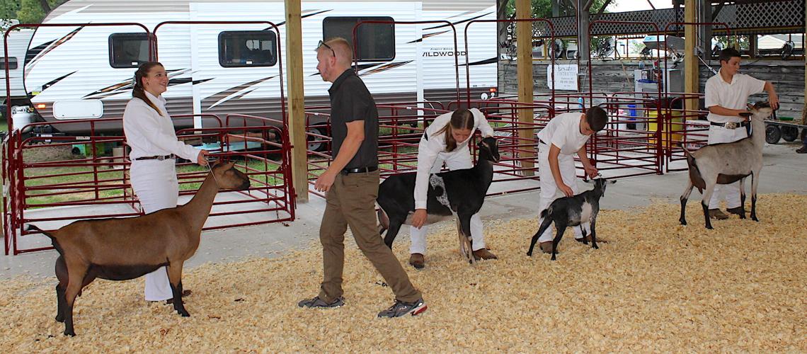 Despite torrential rain storm, county fair 4-H cake sale succeeds ...