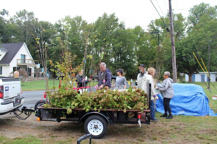 Volunteers prep Bay City tree plantings | Local | stardem.com