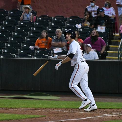 Back to the ballpark: Delmarva Shorebirds bring baseball to the Shore ...