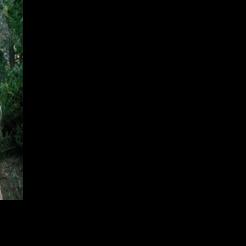 REVIEW: 'Lone Survivor' | Maki at the Movies | Greg Maki | stardem.com