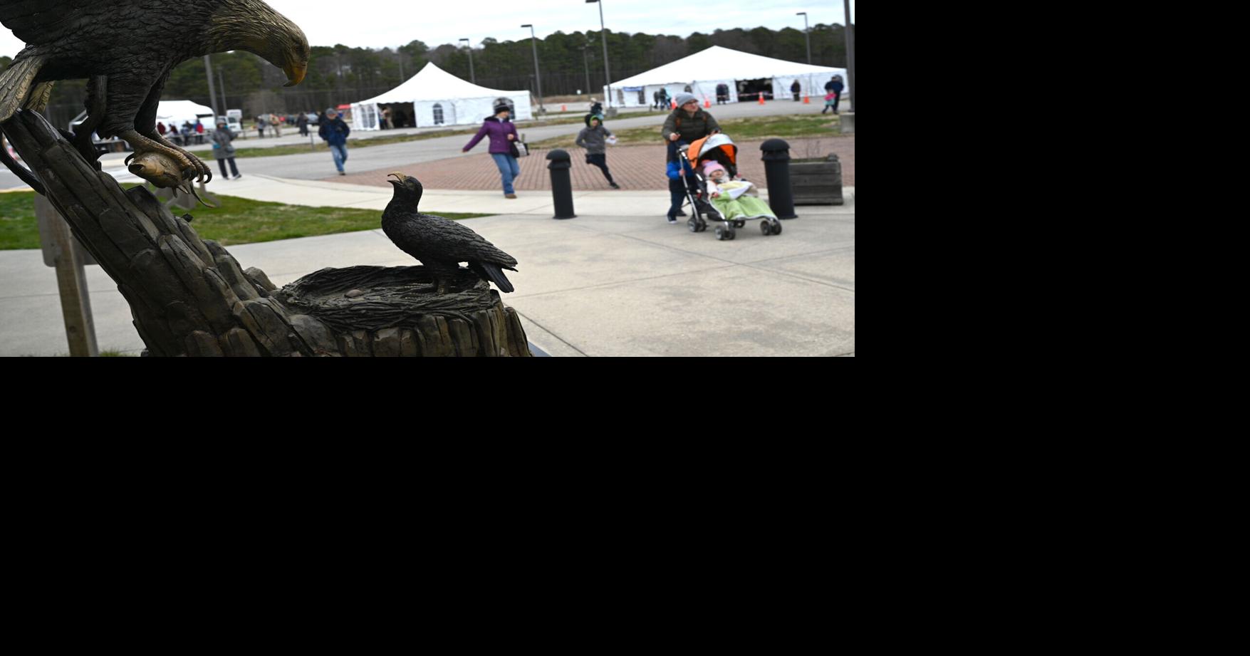 Blackwater National Wildlife Refuge offering free birding tours | Life ...