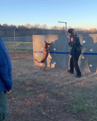 Eagle Scout Ben Tuttle builds K-9 scent training wall for EPD, others ...
