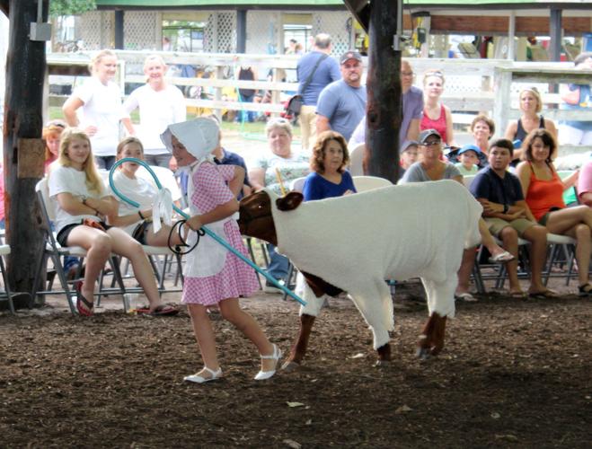Pretty Animal Contest winners announced | Local | stardem.com