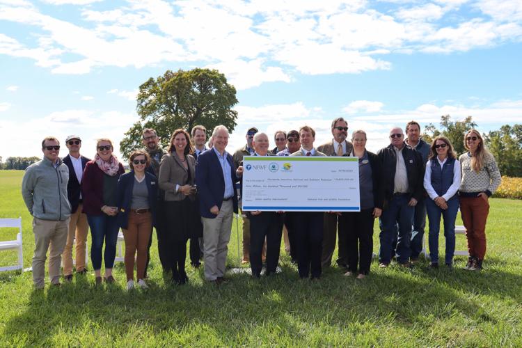 Chesapeake Bay restoration projects receive $9.6 million in grants ...