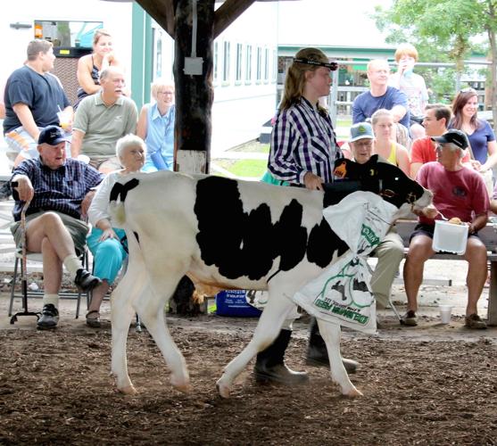 Pretty Animal Contest winners announced | Local | stardem.com
