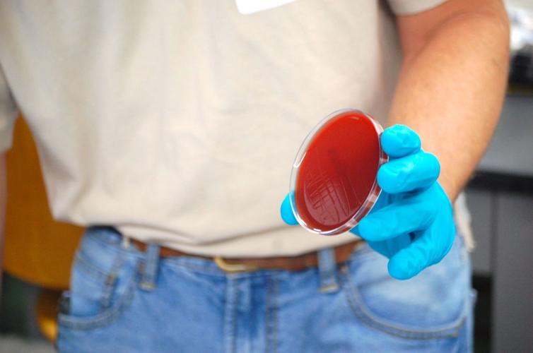 A tour of Choptank watershed restoration | Environment | stardem.com