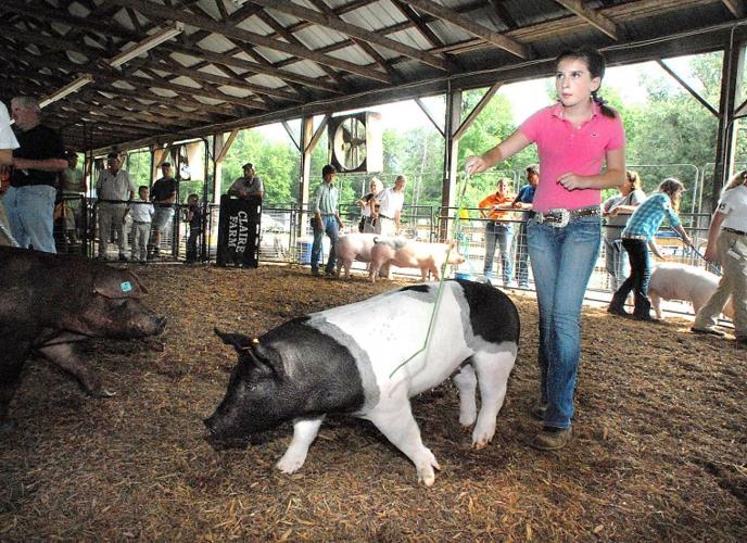 A squealing good time at the Market Hog Show | Photos | stardem.com