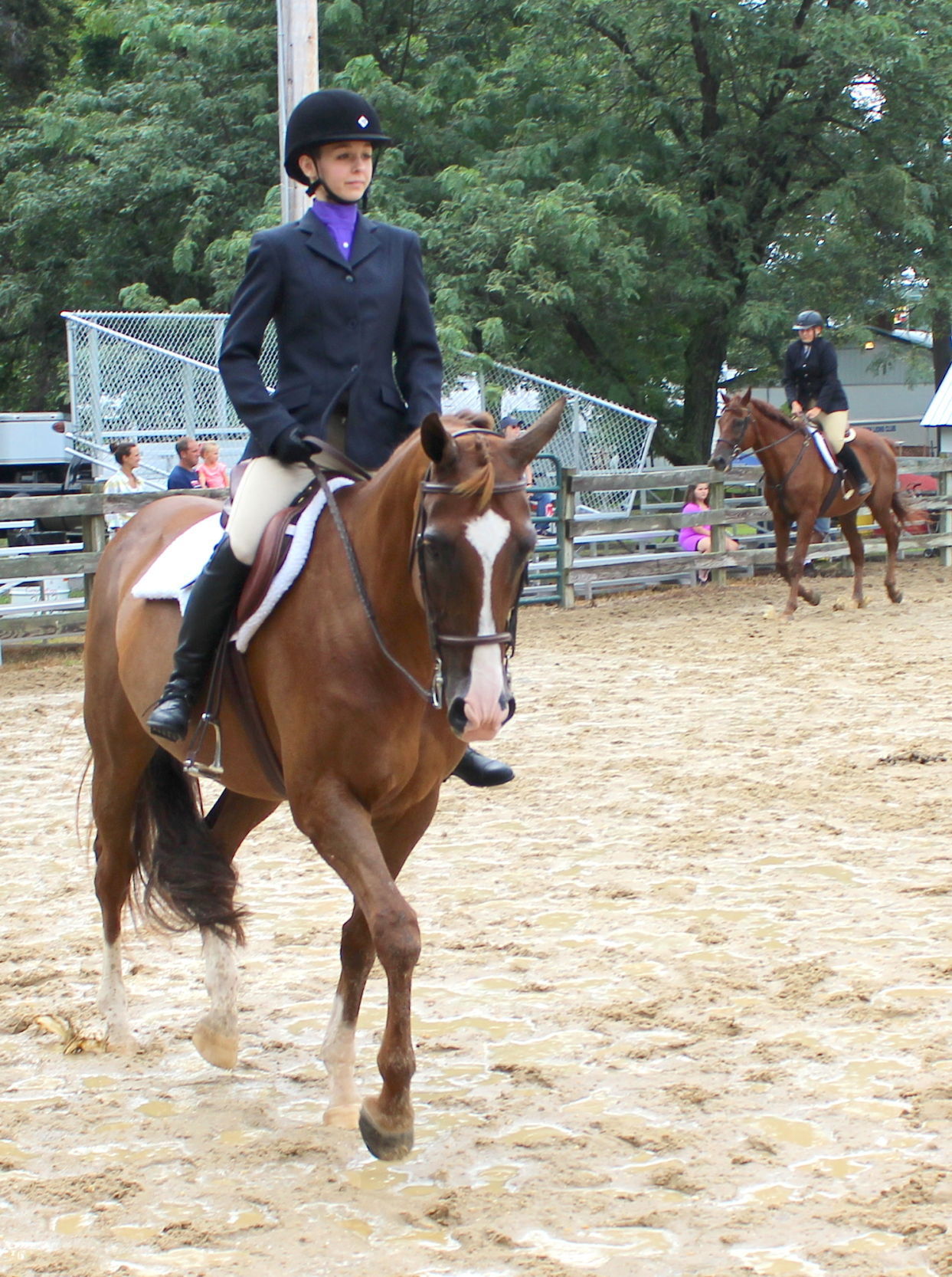 Splish-splashing English horse show held in mud | Local | stardem.com