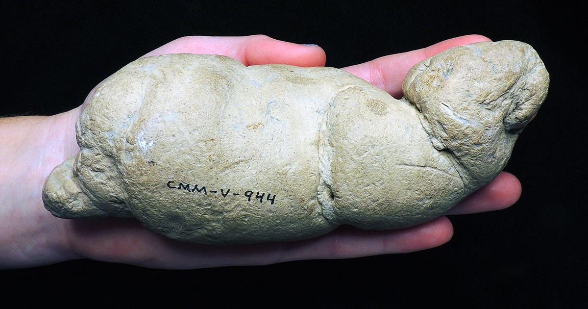 Calvert Marine Museum to host Coprolite Day | Arts | stardem.com