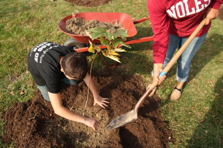 High-schoolers plant 300 trees | Local | stardem.com