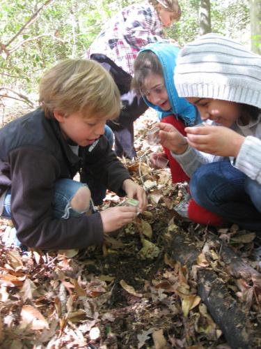 Interactive Kids Trail opens at Pickering Creek | Life | stardem.com
