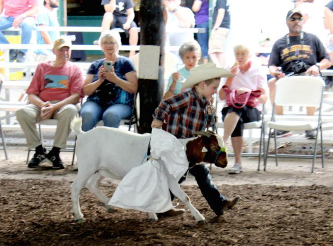 Pretty Animal Contest winners announced | Local | stardem.com