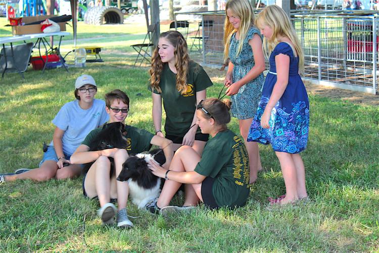 Summer heat doesn't stop Kent fair | Local | stardem.com