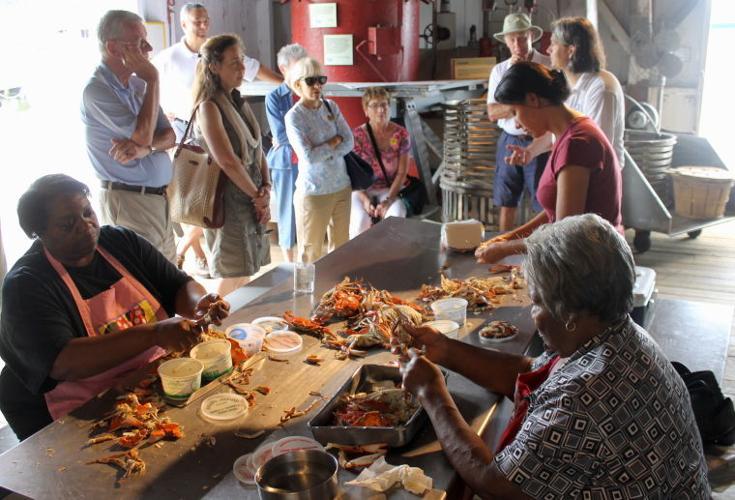 Crab-pickers entertain museum guests during Chesapeake People event ...
