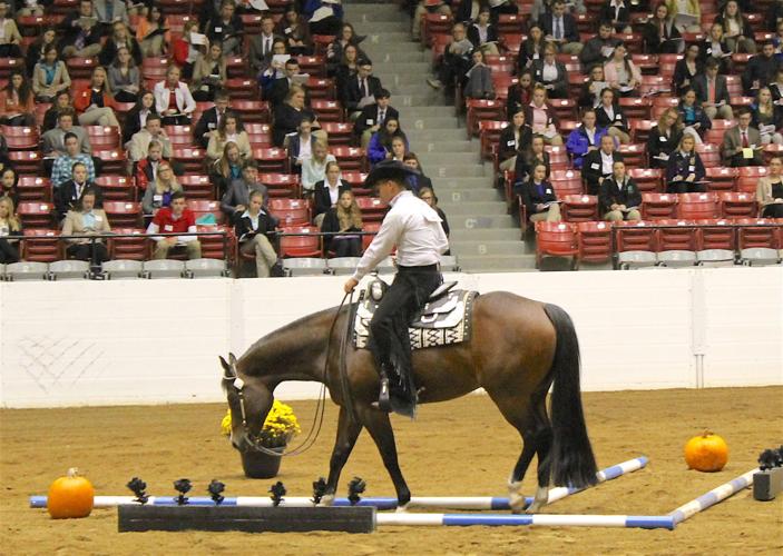 Local 4-H'er Jennifer Gannon medals at QH Congress | Local | stardem.com