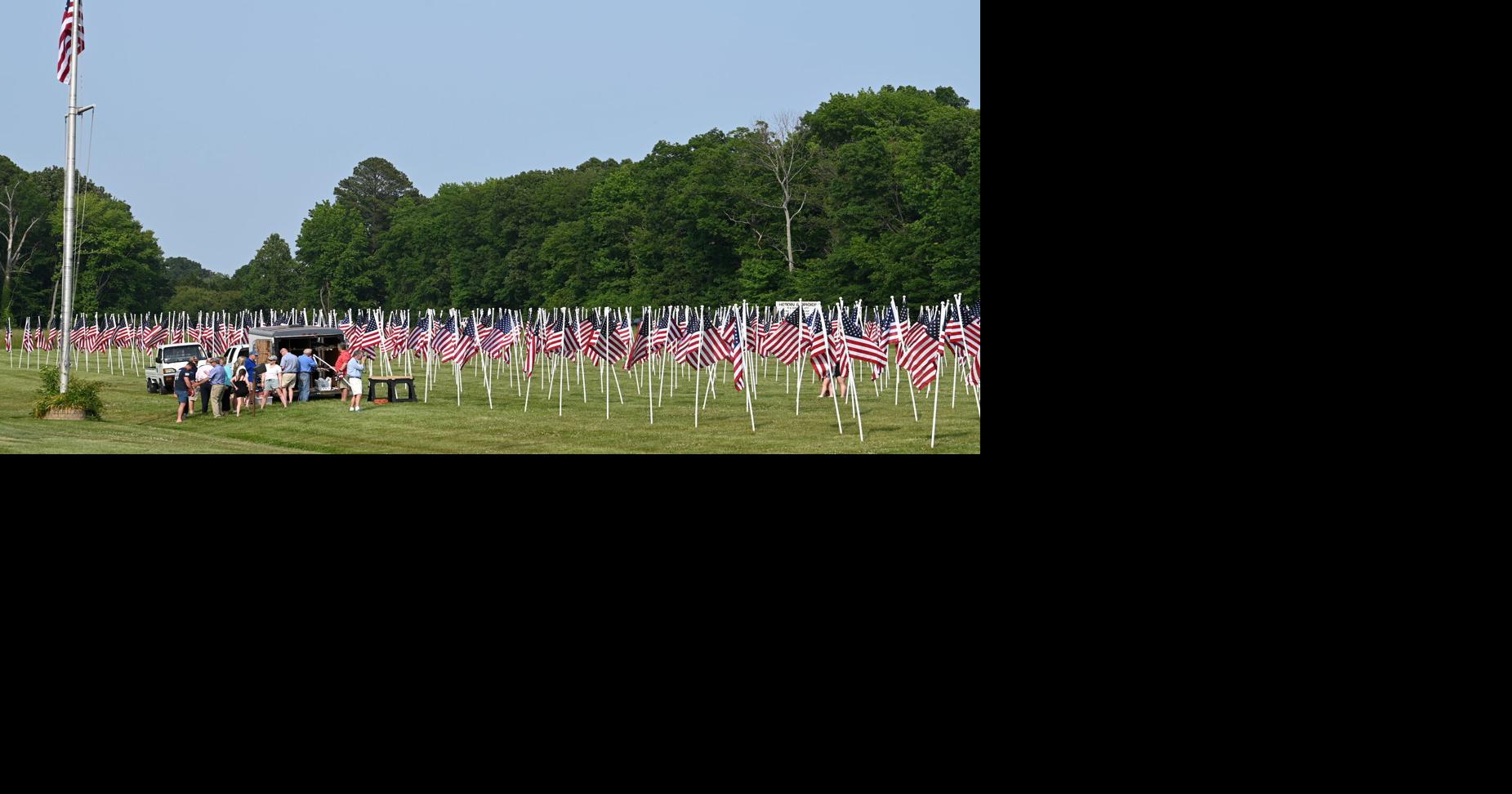 Rotarians place hundreds of flags around Talbot County | Local ...