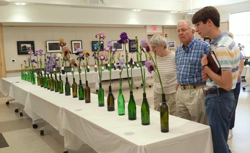 McNeal places in national photo contest | Life | stardem.com