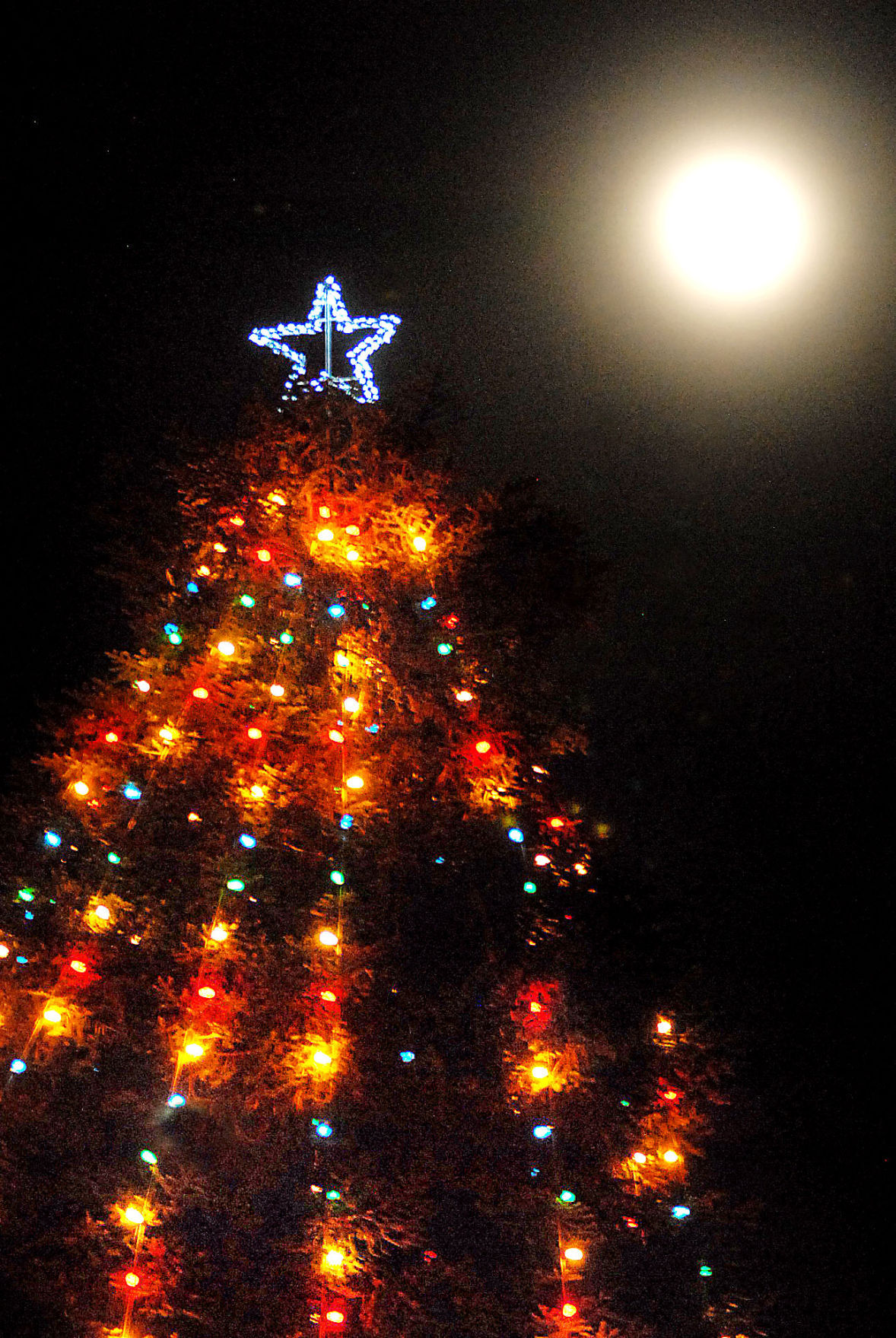 Rare full moon will appear on Christmas Day | Local | stardem.com