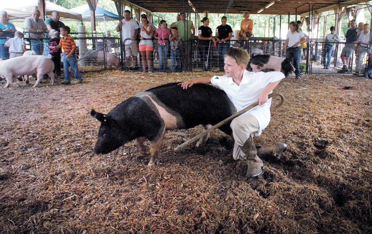 A squealing good time at the Market Hog Show | Photos | stardem.com