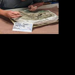 Explore Maryland: Most complete prehistoric bird skeleton found ...