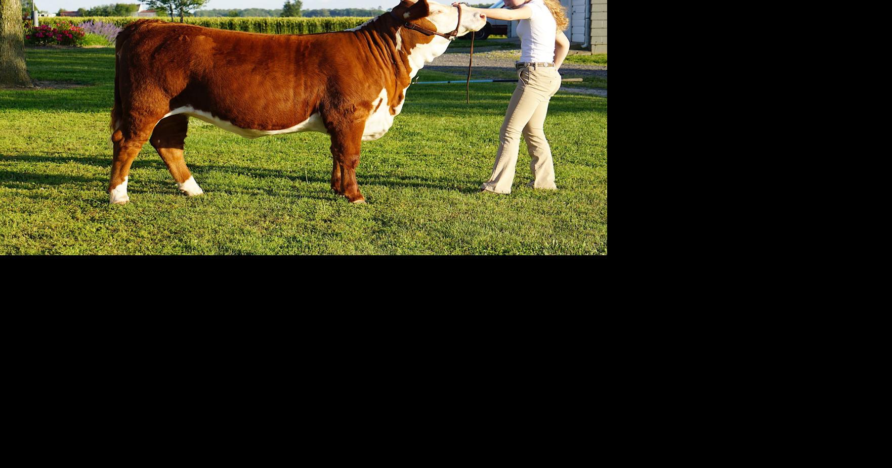 Queen Anne’s County 4-H hosts Eastern Shore Spring Show | Local ...