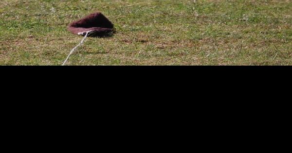 Annual Jack Russell Races to be held Oct. 19 | Life | stardem.com