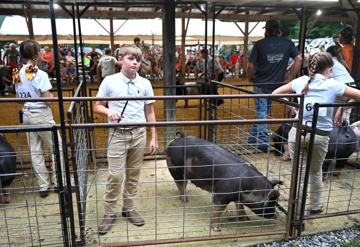 County Fair animals teach responsibility to students | Local | stardem.com