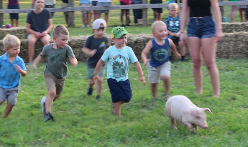 Flying pigs meet squealing kids at fair | Local | stardem.com