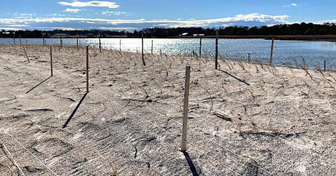 DNR completes shoreline restoration along Hurst Creek | Environment ...