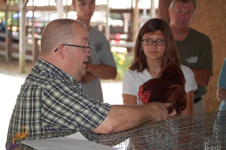 Poultry show at the Talbot fair | Local | stardem.com