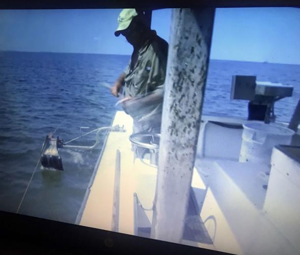 Oxford watermen star in film | Local | stardem.com