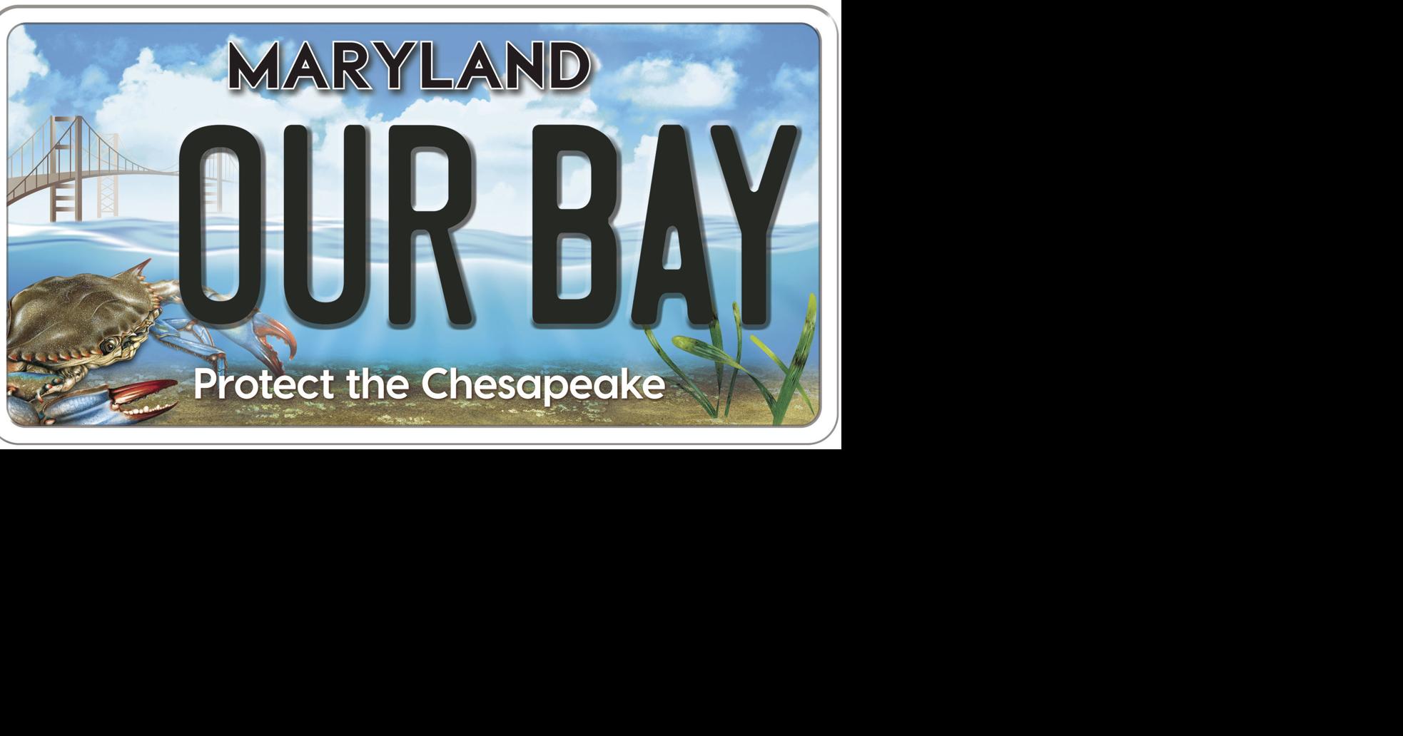 New Bay plate gets top design award | Spotlight | stardem.com