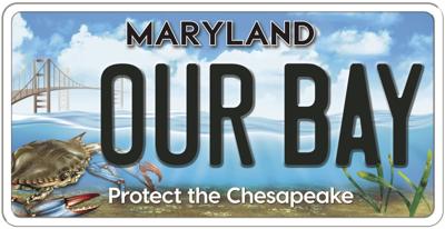 New Bay plate gets top design award | Spotlight | stardem.com