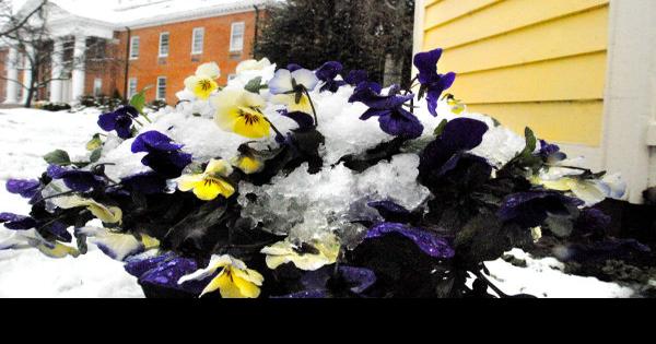 Snow Scenes from Denton | Local | stardem.com