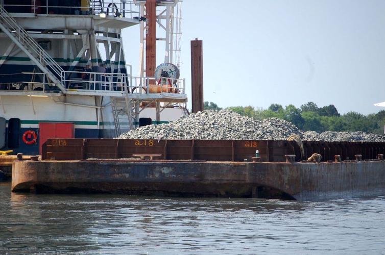 A tour of Choptank watershed restoration | Environment | stardem.com
