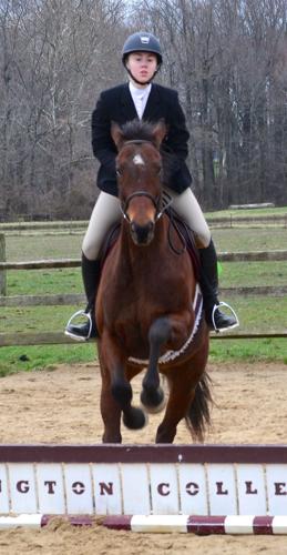 WC equestrian team hosts area competition | Local | stardem.com