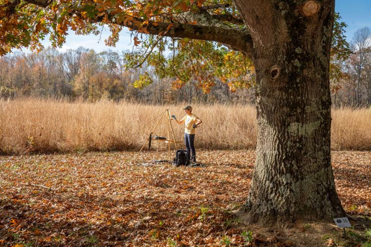 Inaugural Plein Air Adkins draws 50 artists | Life | stardem.com