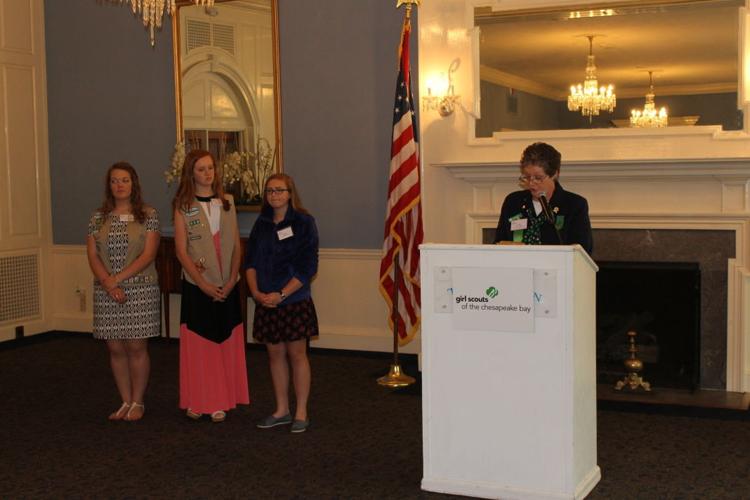 Denise Riley honored as Woman of Distinction | Photos | stardem.com