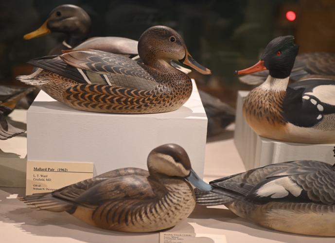 SU announces future plans for Ward Museum | Local | stardem.com