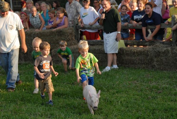 Greased Pig Contest at the Caroline-Dorchester County Fair | Life ...