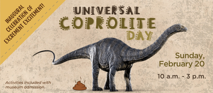 Calvert Marine Museum to host Coprolite Day | Arts | stardem.com
