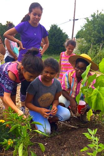 Garden growing much more than vegetables | Local | stardem.com